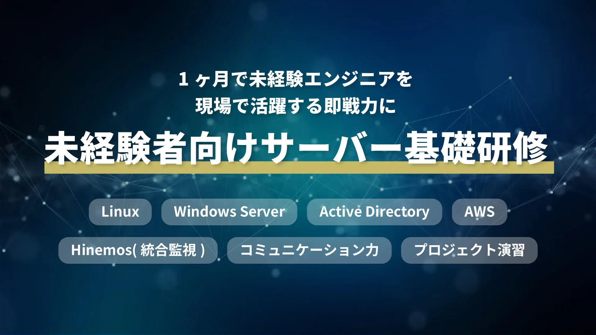 サーバー基礎研修 - 企業研修、ITDX人材育成ならBasisPoint Academy